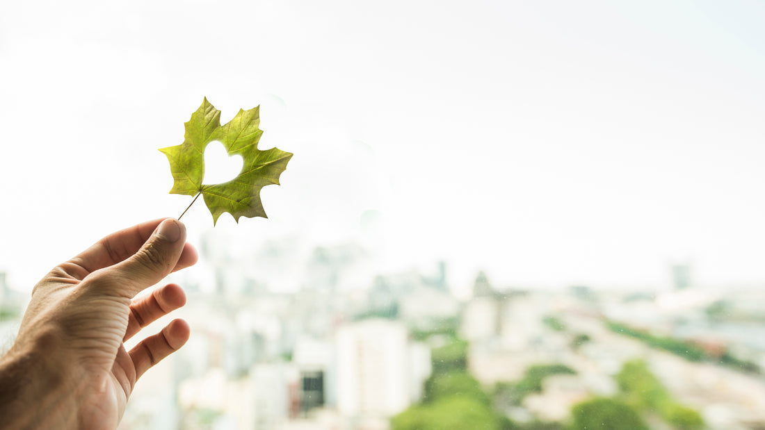Sustainability